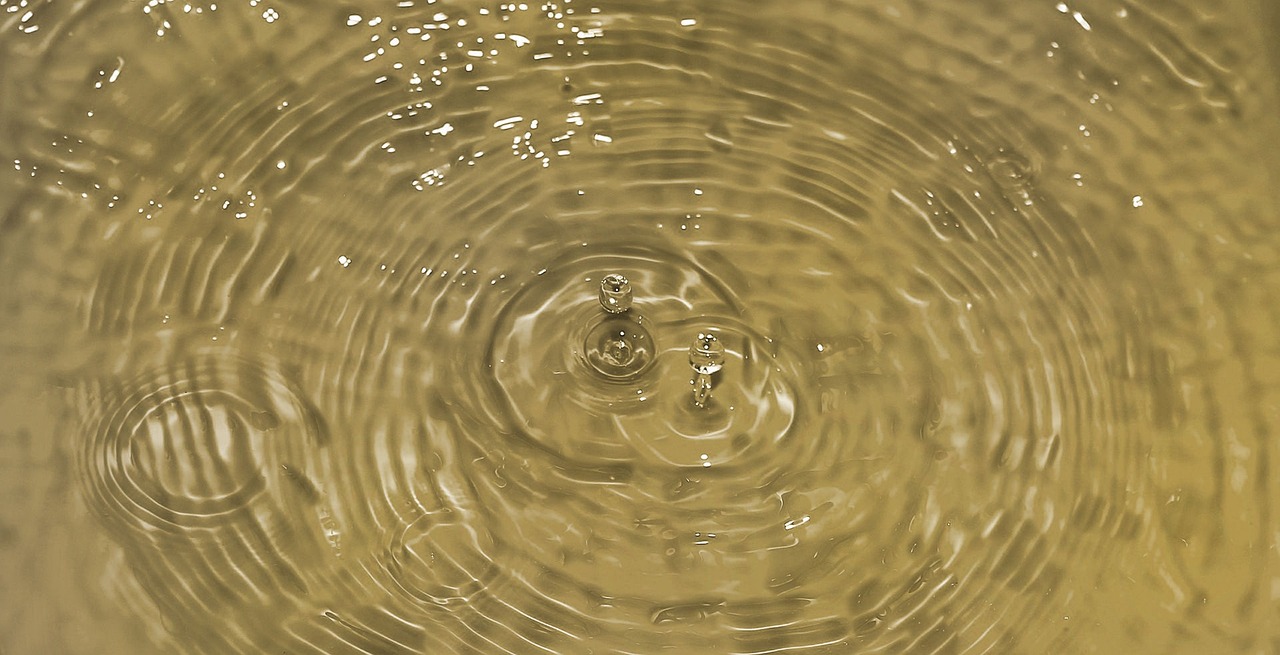 Chlorum Solutions revoluciona a sustentabilidade no setor químico com ...